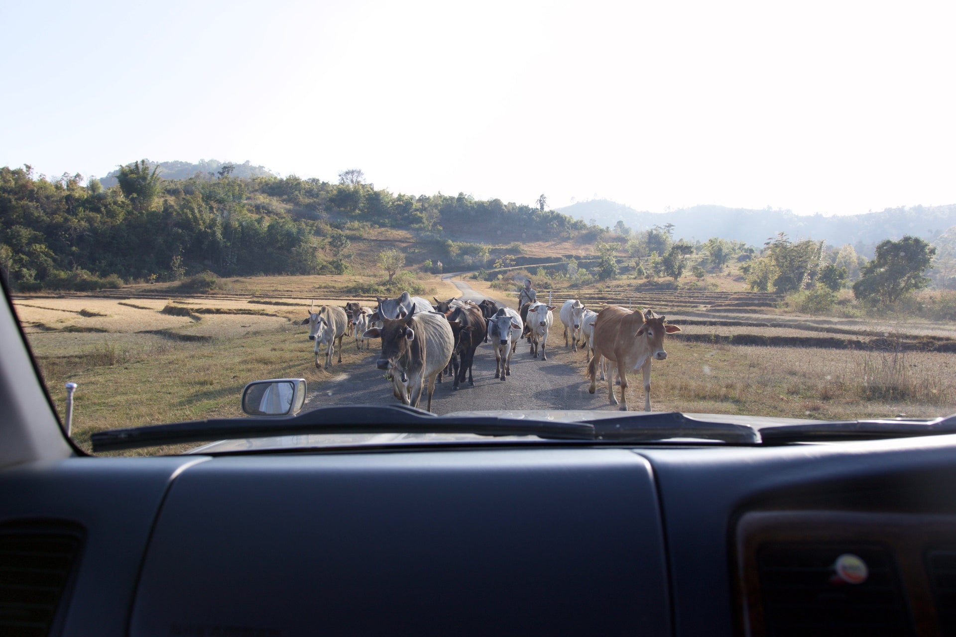 Pinlaung, Part 1 – Rosso Coffee